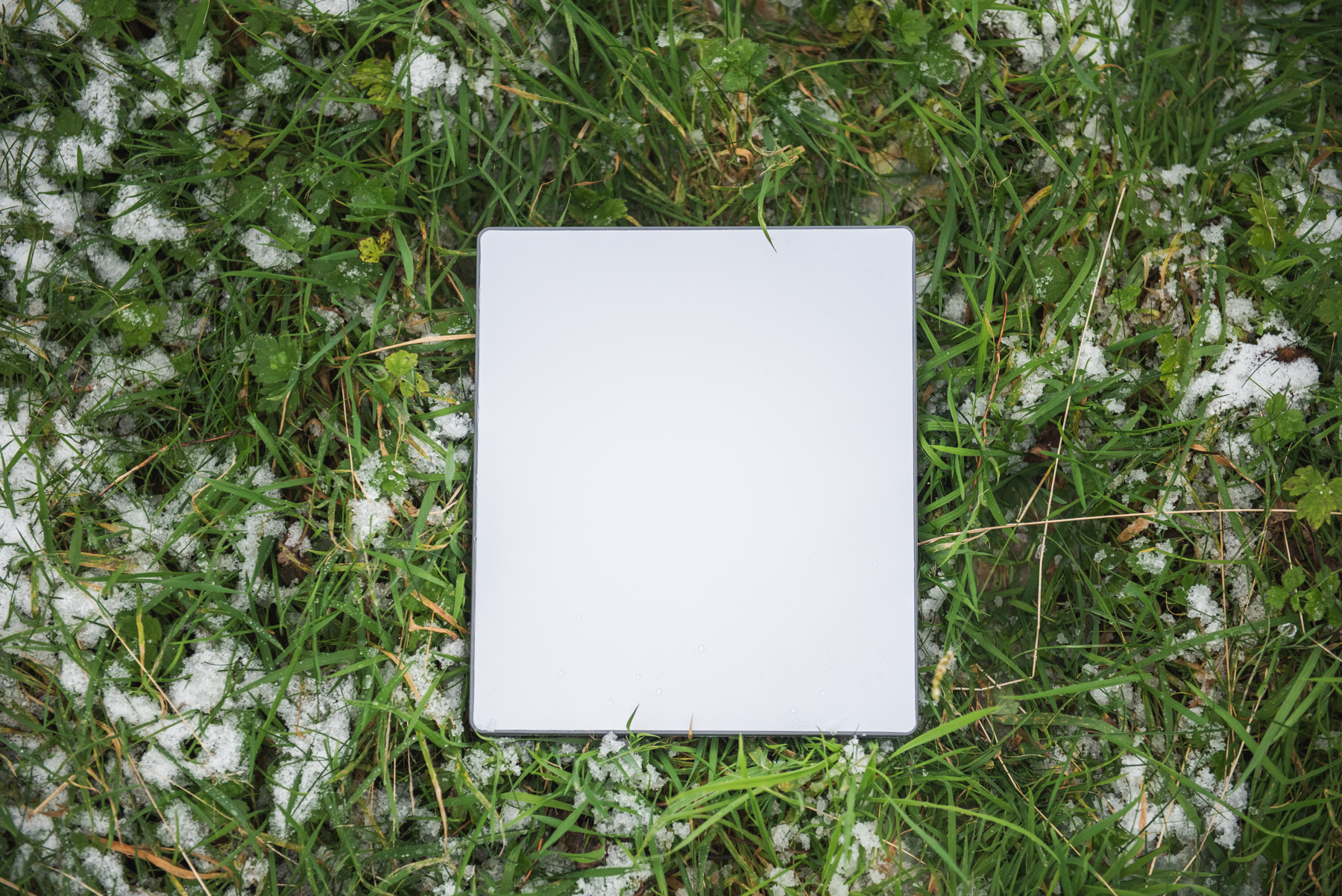 Starlink RV review: should you buy Starlink Roam for your camper?